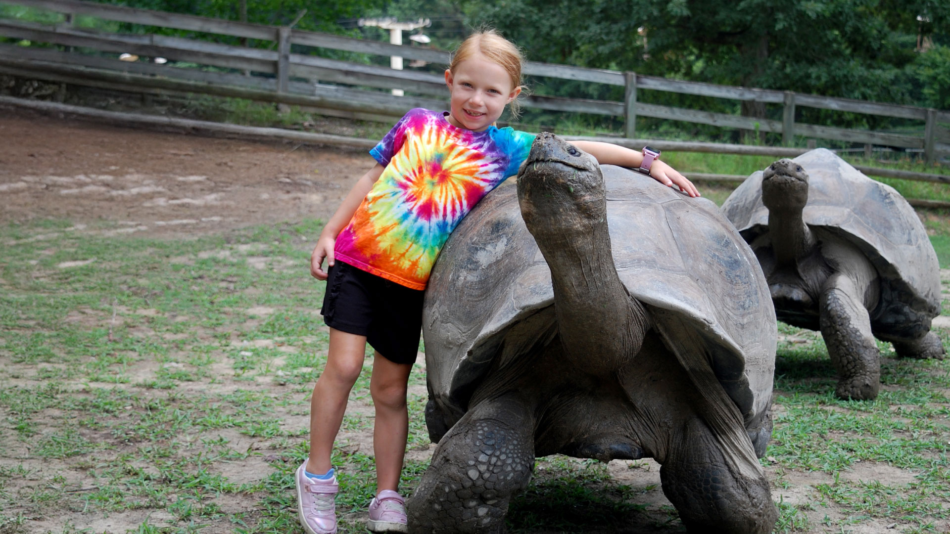 Animal Encounters and Experiences - Metro Richmond Zoo